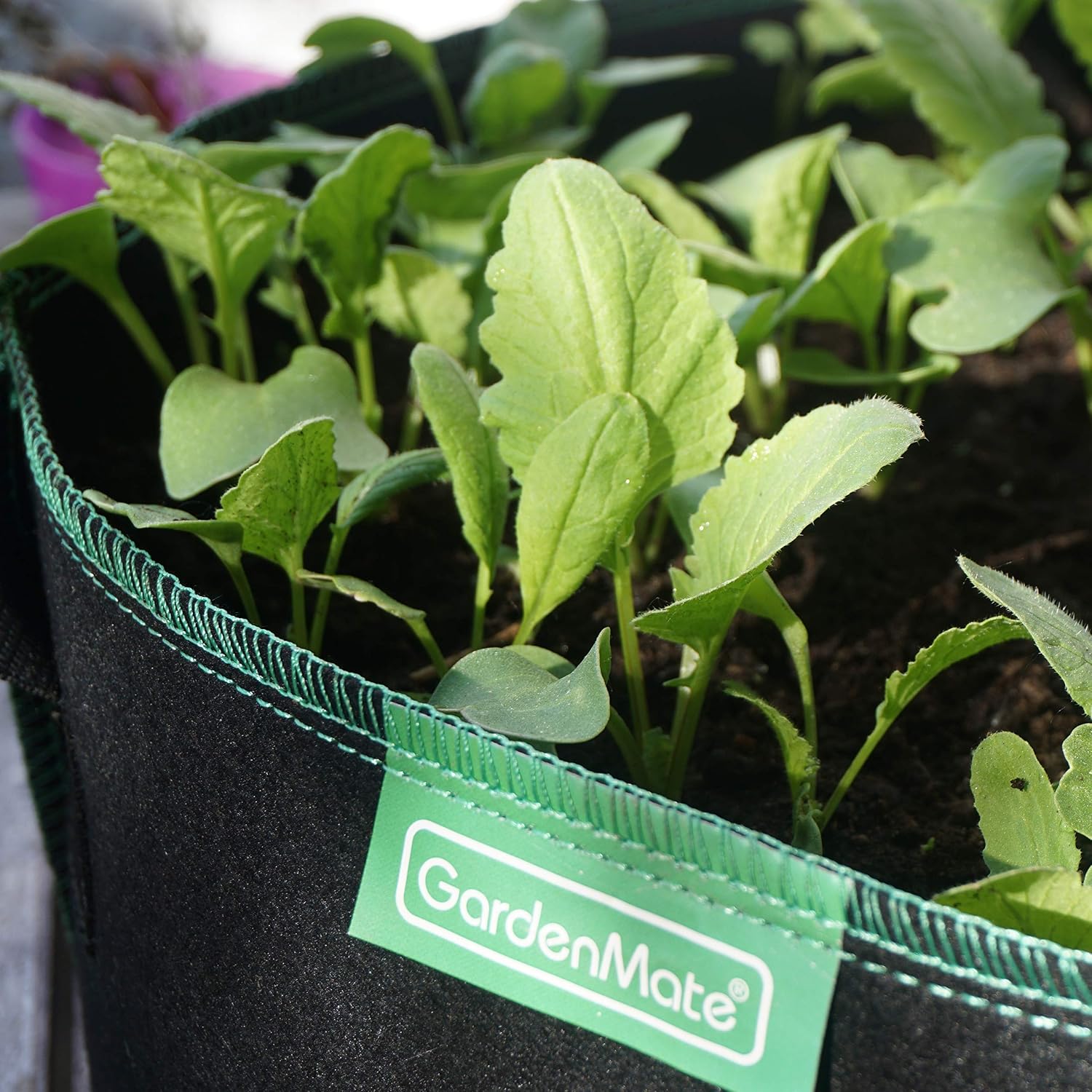 GardenMate 3-Pack 20 litres/5 gallons soft-sided plant pots – Grow bags ...