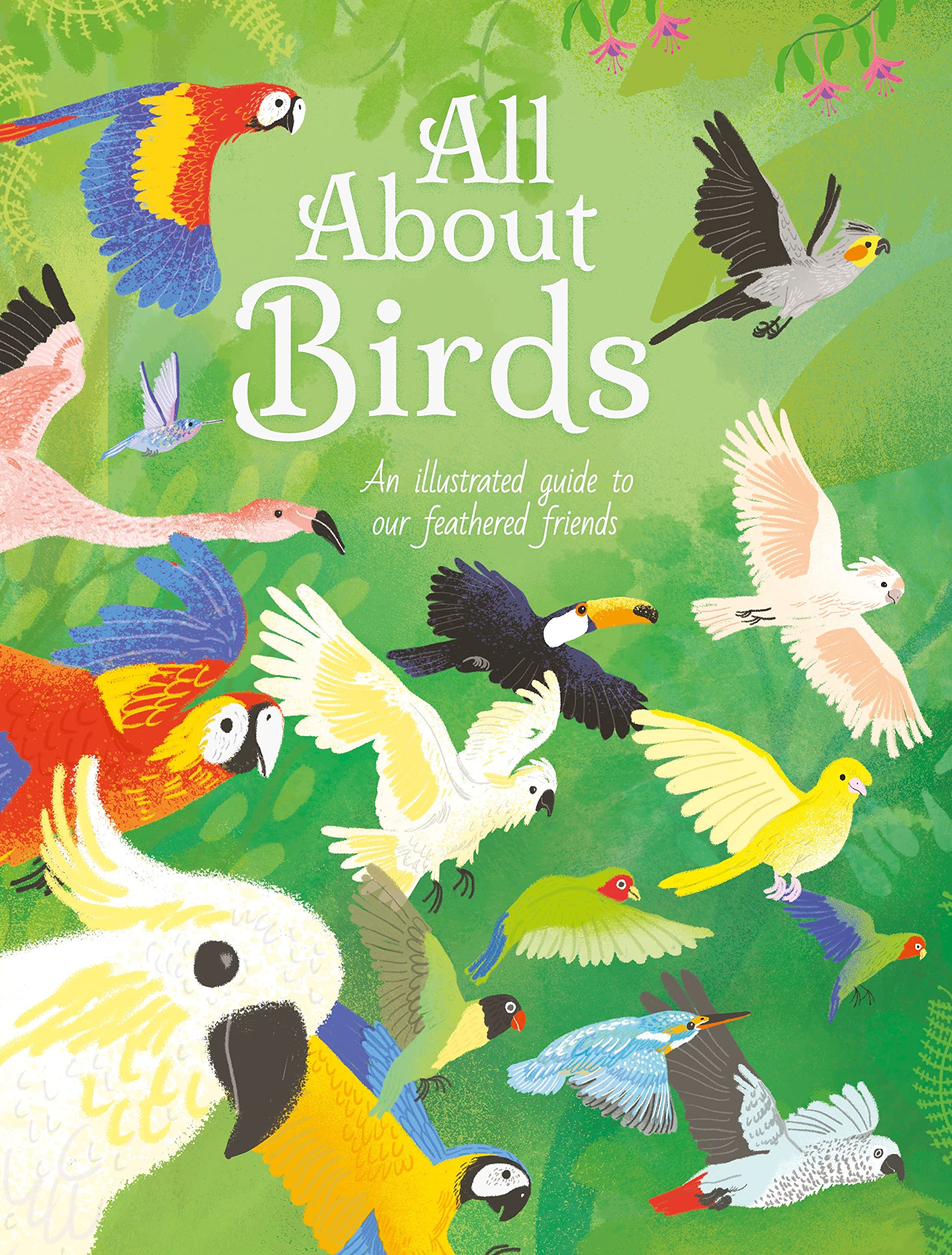 All About Birds: An Illustrated Guide to Our Feathered Friends (All ...