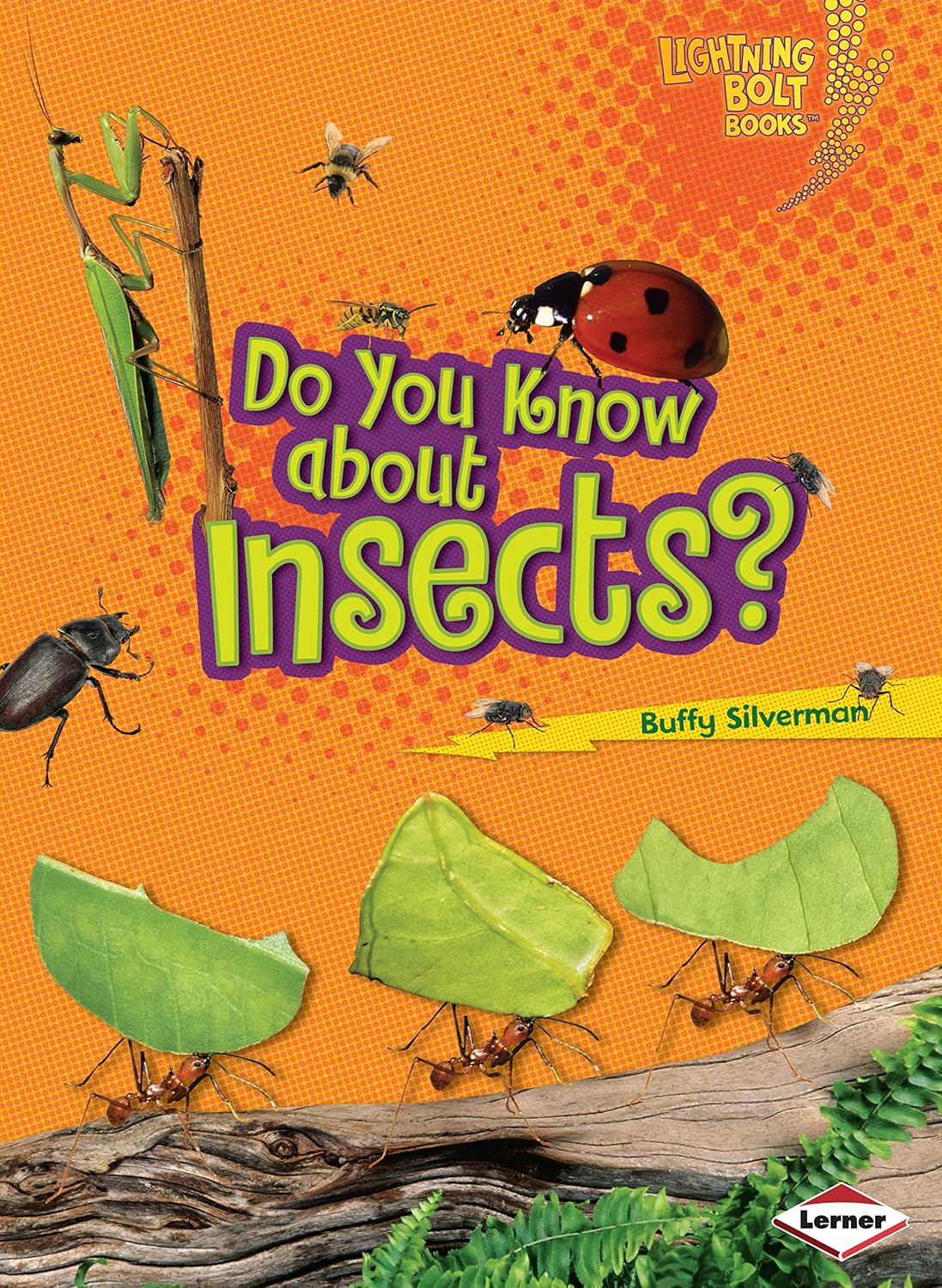 Do You Know about Insects? (Lightning Bolt Books ® ― Meet the Animal ...