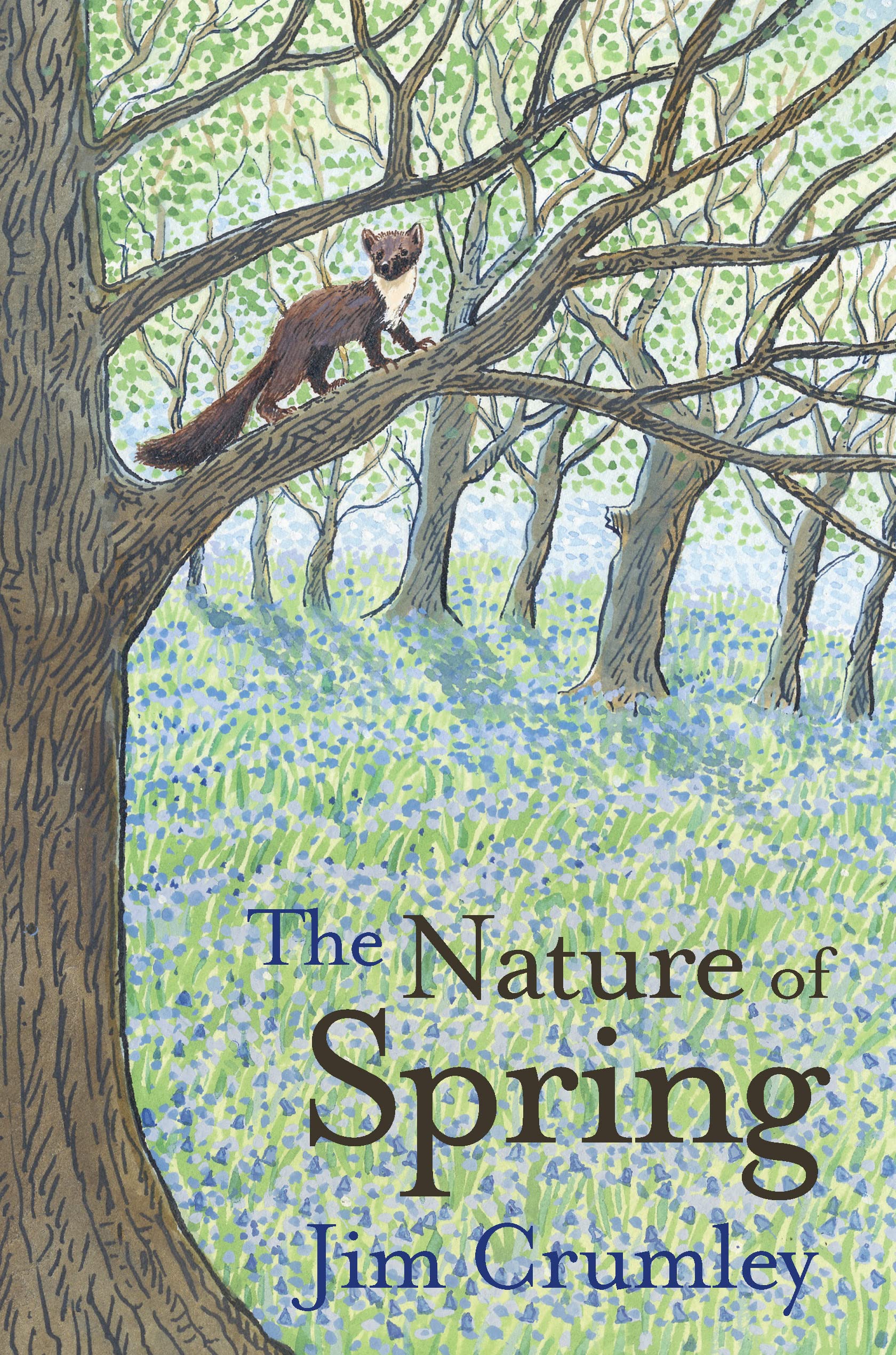 The Nature of Spring (Seasons): Crumley, Jim: 9781912235377: Amazon.com ...