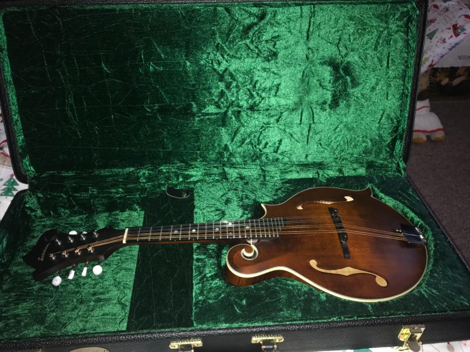 Superior CD-1522 Deluxe Hardshell Oblong F Model Mandolin Case : Amazon ...