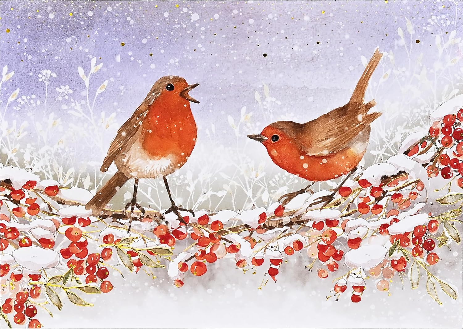 English Robins in Winter Deluxe Boxed Holiday Cards (20 cards, 21 self ...