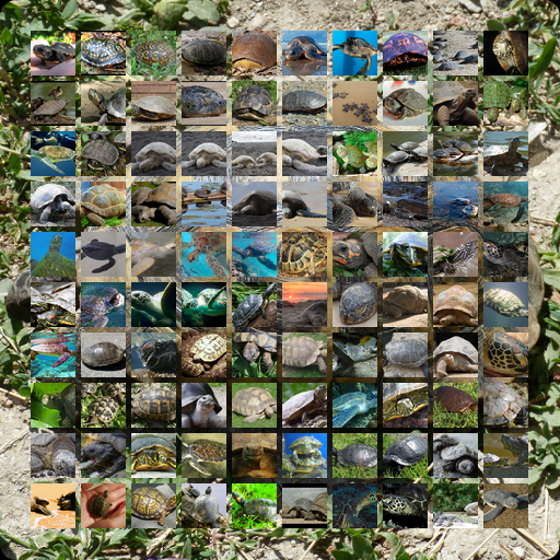 Turtle Wallpaper App (Free) - App on the Amazon Appstore