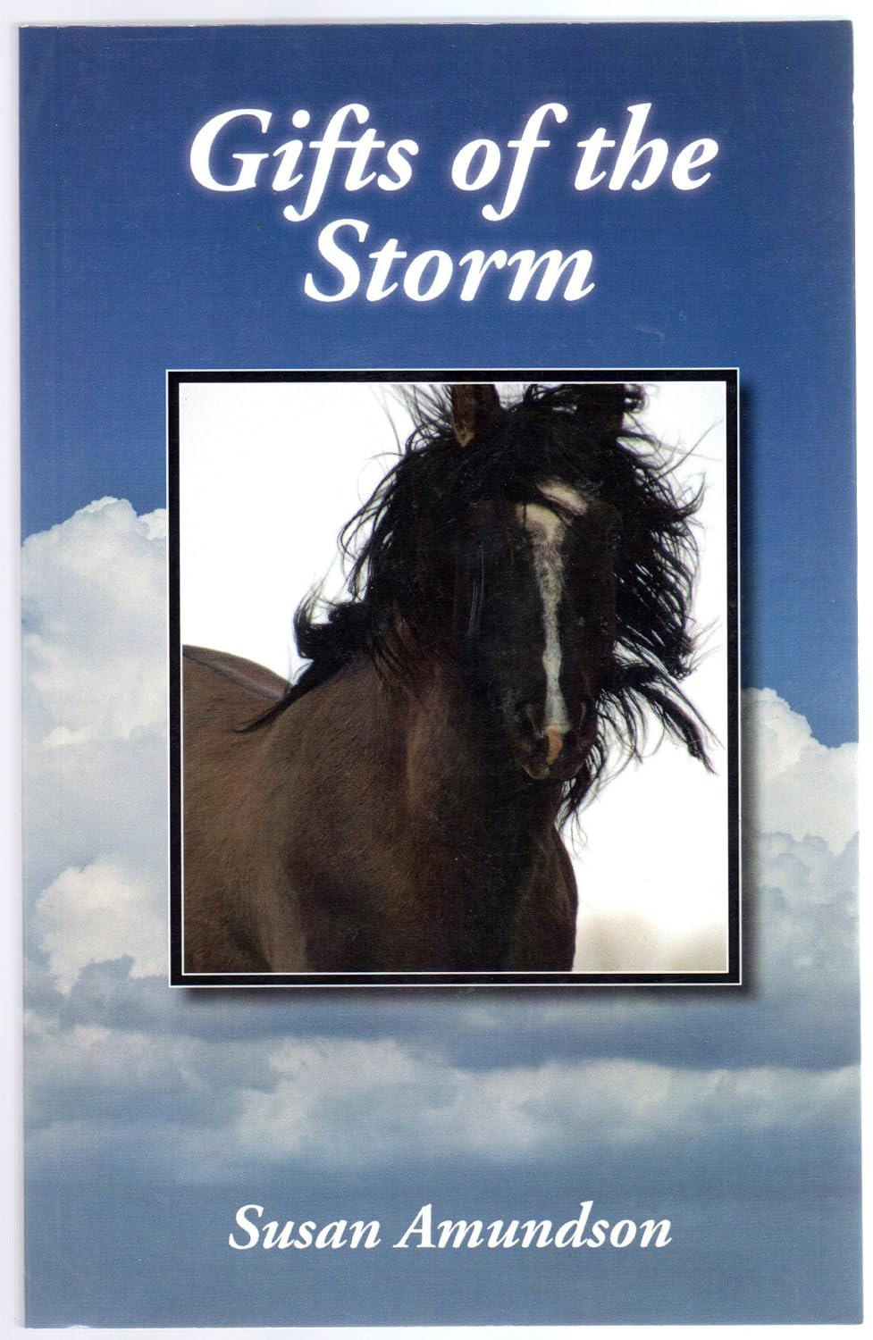 Gifts of the Storm (#2 in the Sahara Rose Series): Susan Amundson ...