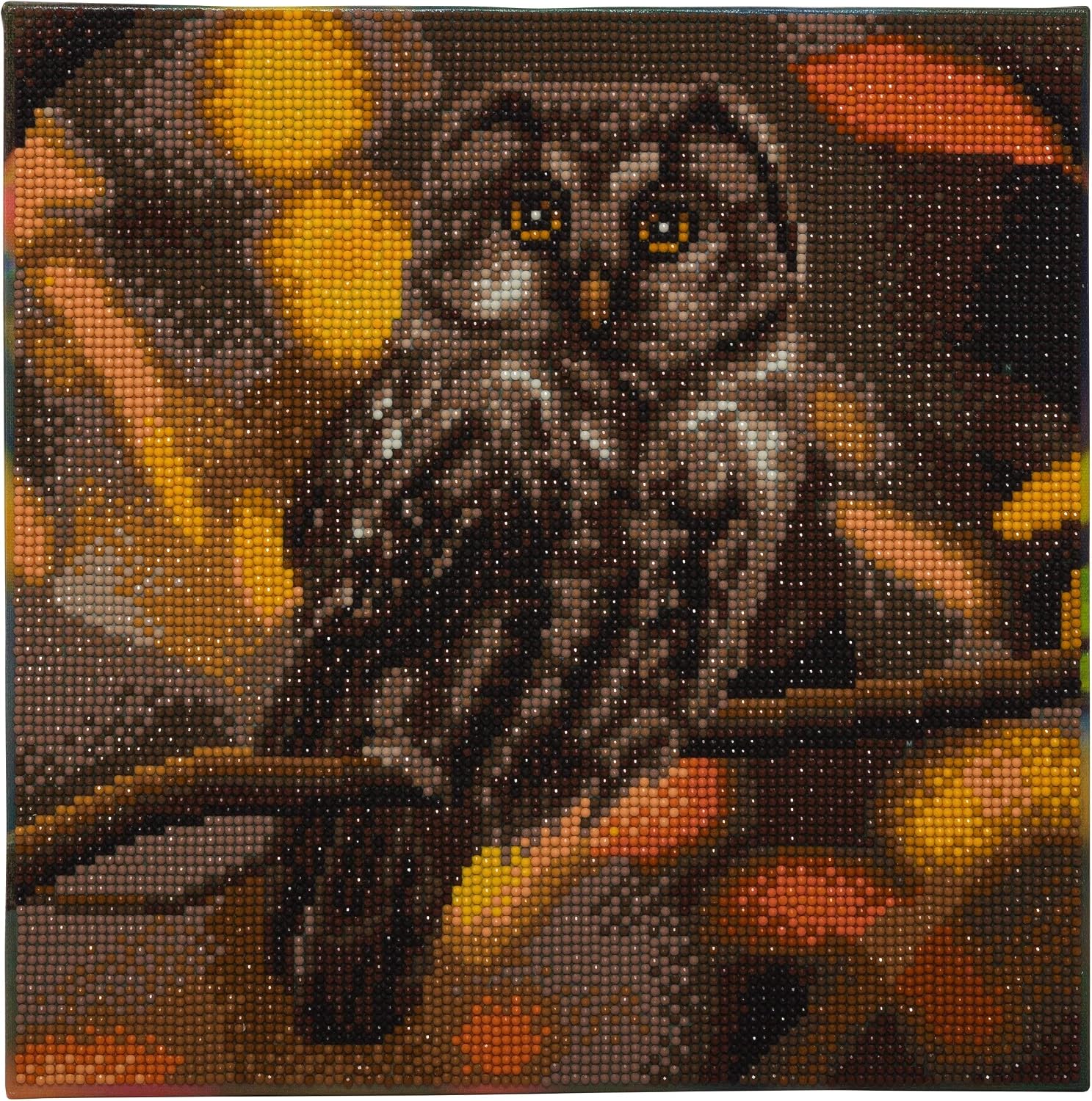 Amazon.com: Crystal Art Diamond Painting Kit, Assorted, 30 x 30 cm ...