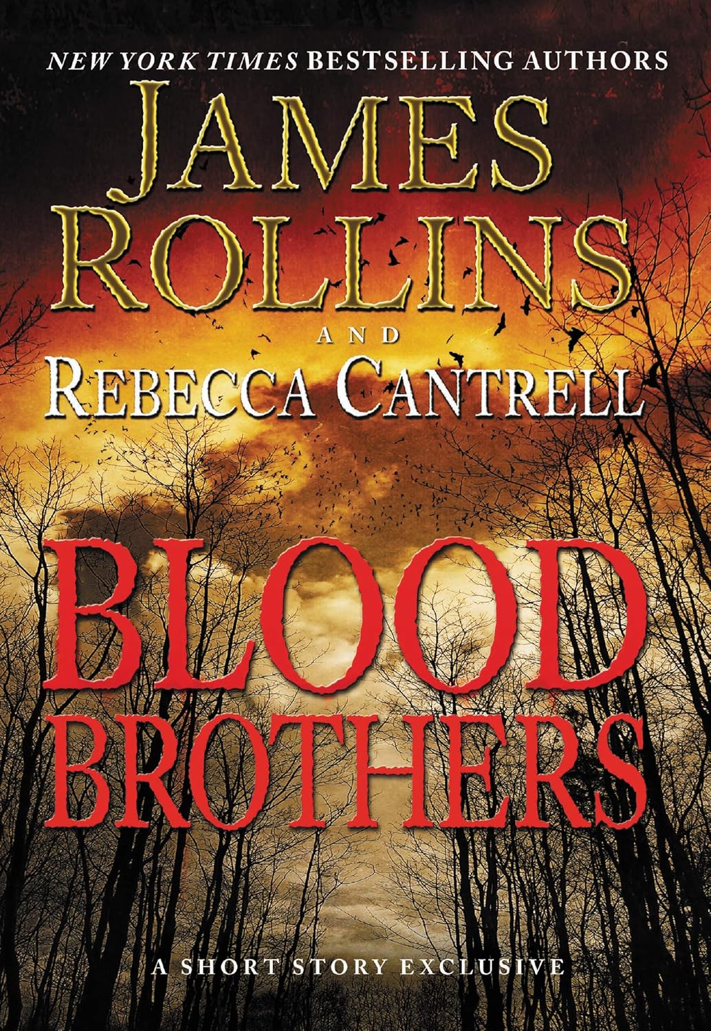 Blood Brothers: A Dark Thriller About Brotherhood, Cult Murder, and a ...