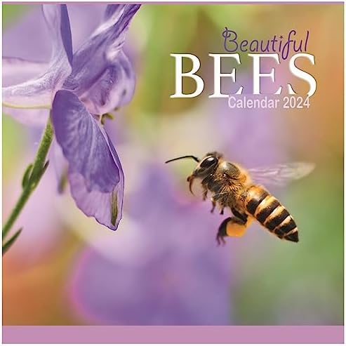 2024 Hanging Wall Calendar Bees & Butterflies Beautiful Family Planner ...