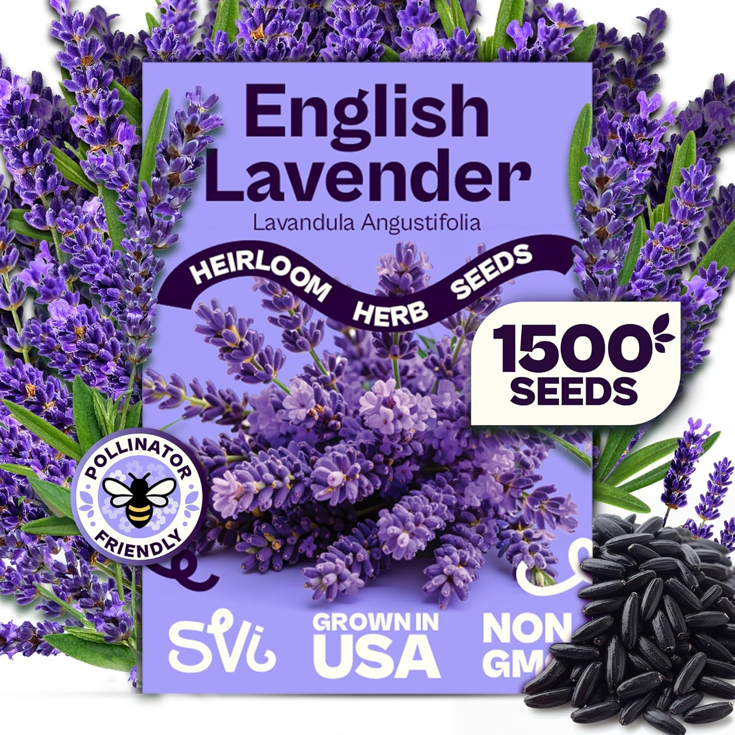 Amazon.com : SVI 1500 English Lavender Seeds for Planting (Lavandula ...
