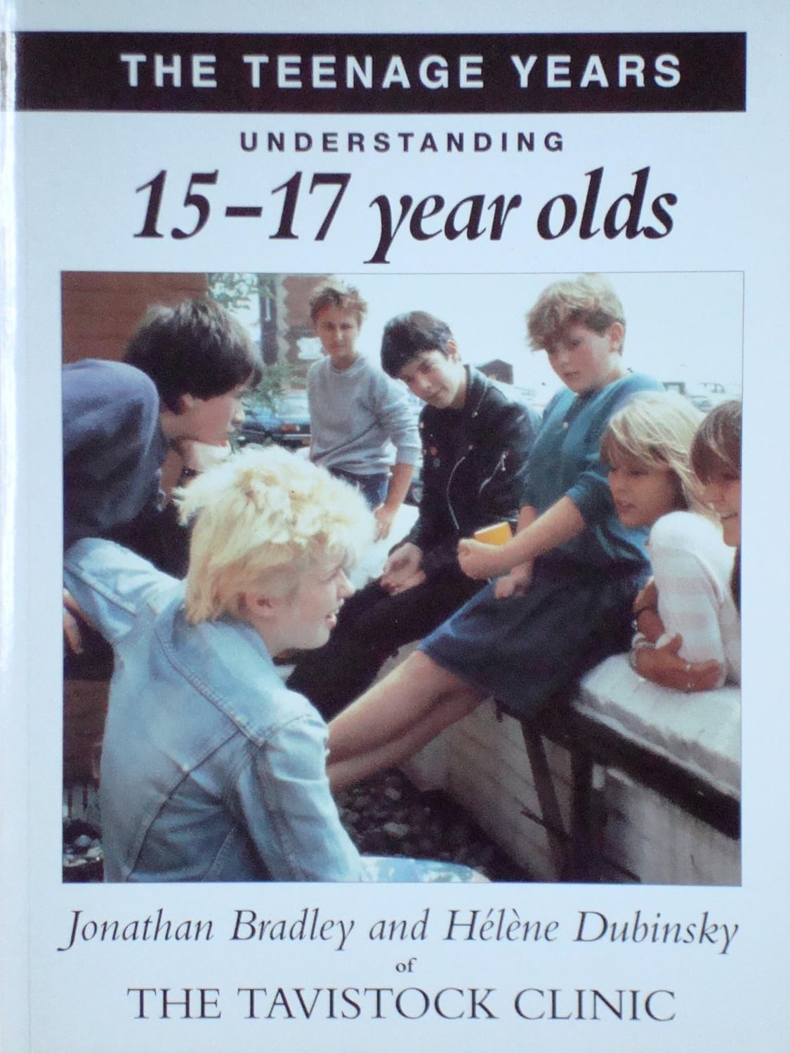 The Teenage Years: Understanding Your 15-17 Year Olds (Understanding ...