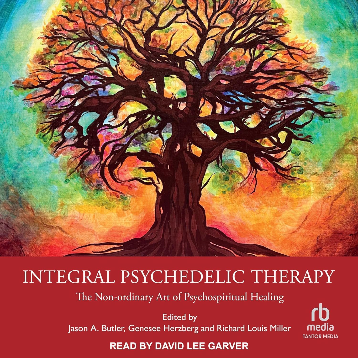 Amazon.com: Integral Psychedelic Therapy: The Non-Ordinary Art of ...