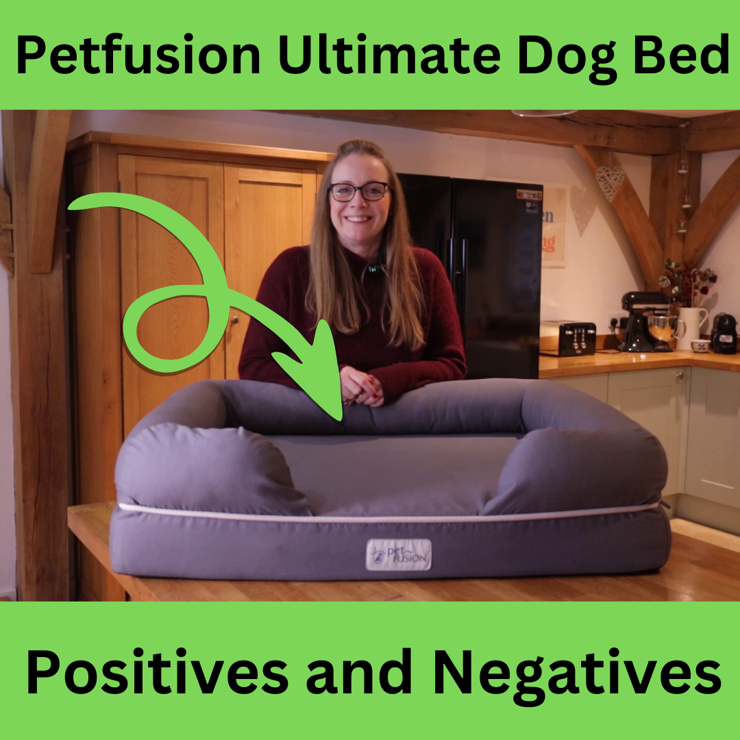 Watch Petfusion Ultimate Dog Bed - Positives & Negatives!! on Amazon Live