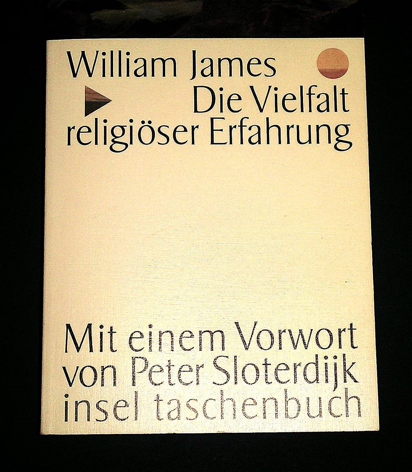 Die Vielfalt religiöser Erfahrung: Eine Studie über die menschliche ...