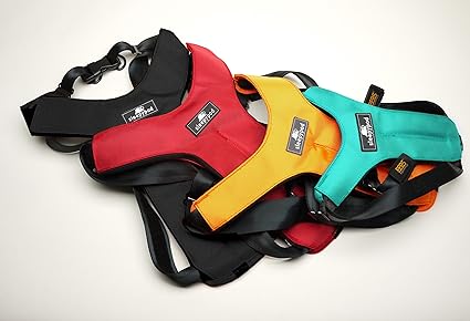 Amazon.com : Sleepypod ClickIt Sport Crash-Tested Car Safety Dog ...