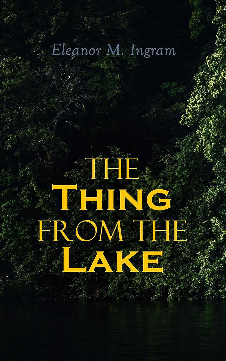 The Thing from the Lake: Gothic Mystery Novel - Kindle edition by ...