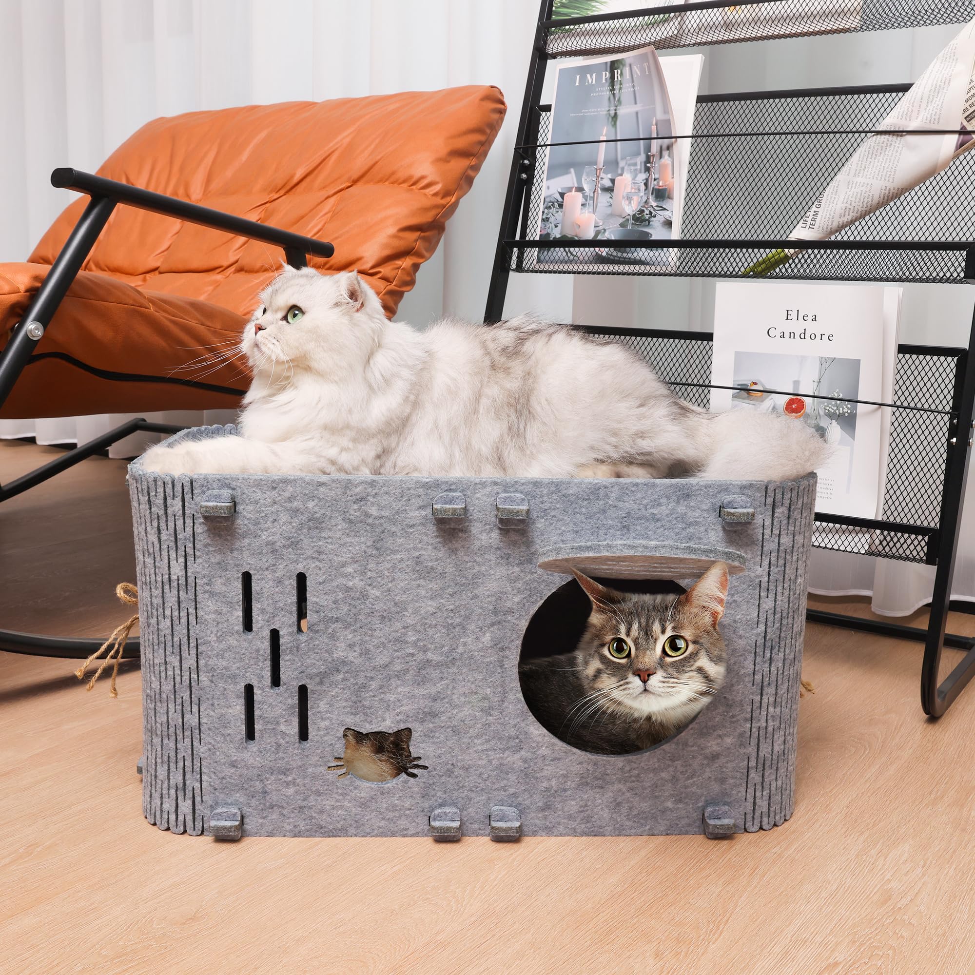 Cozy Cat Cottage