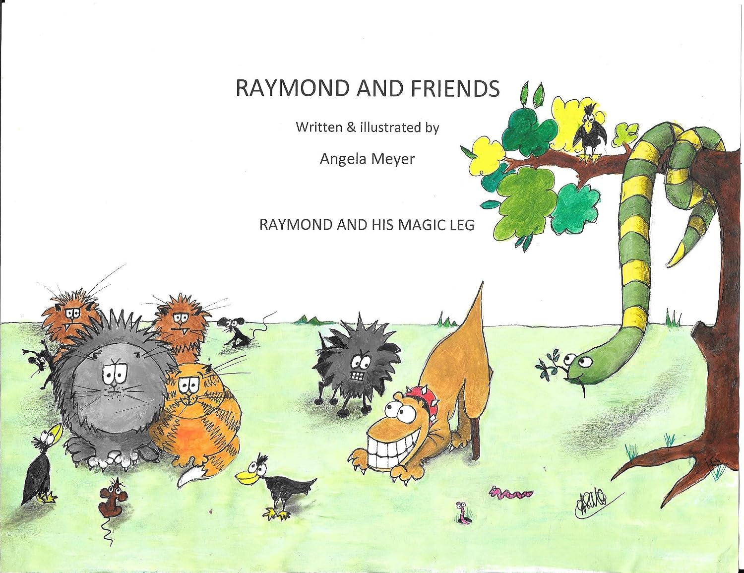 Raymond and Friends - Raymond and His Magic Leg eBook : Meyer, Angela ...