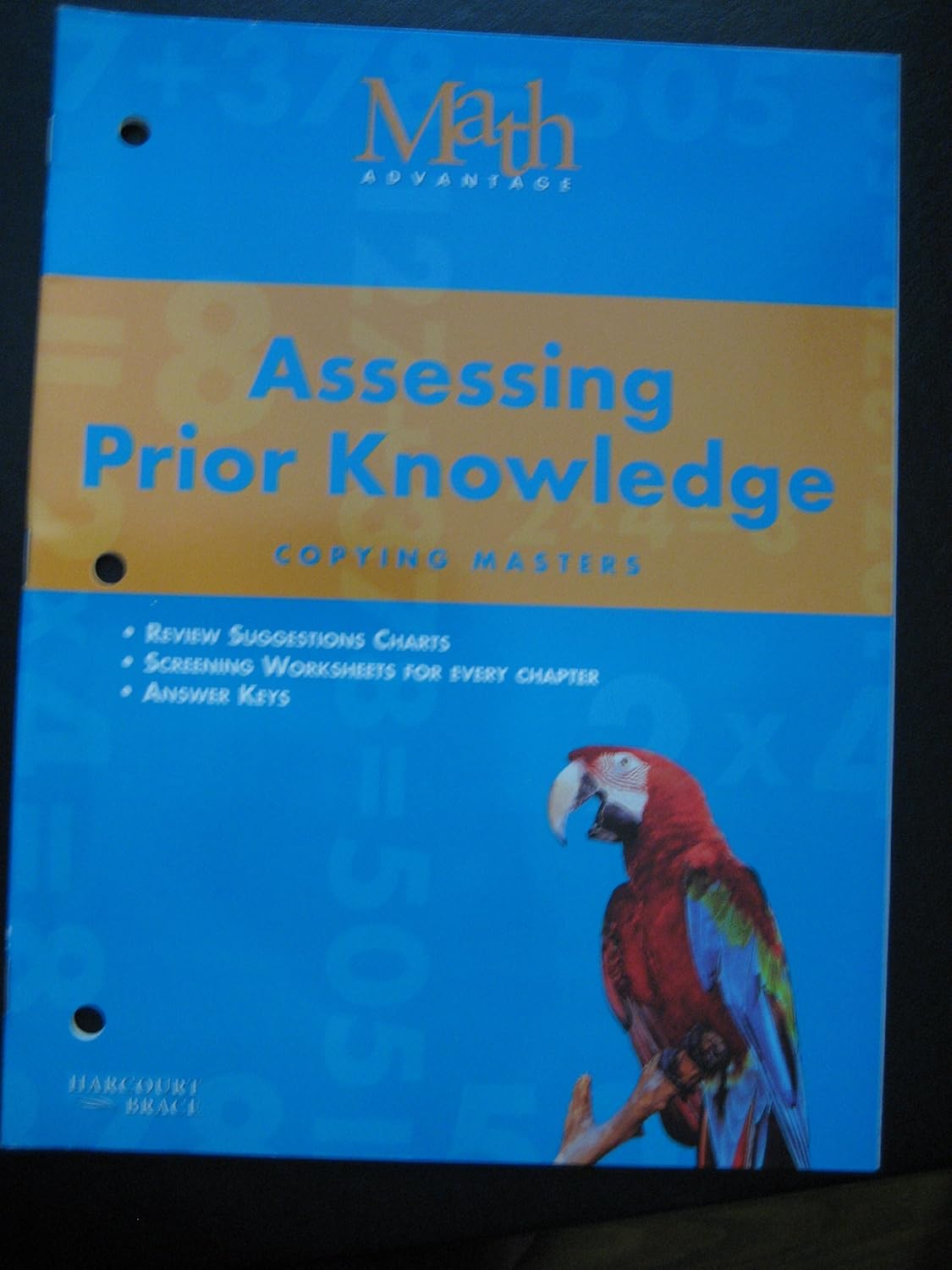 Math Advantage-Assessing Prior Knowledge-Copying Masters (Grade 3 ...