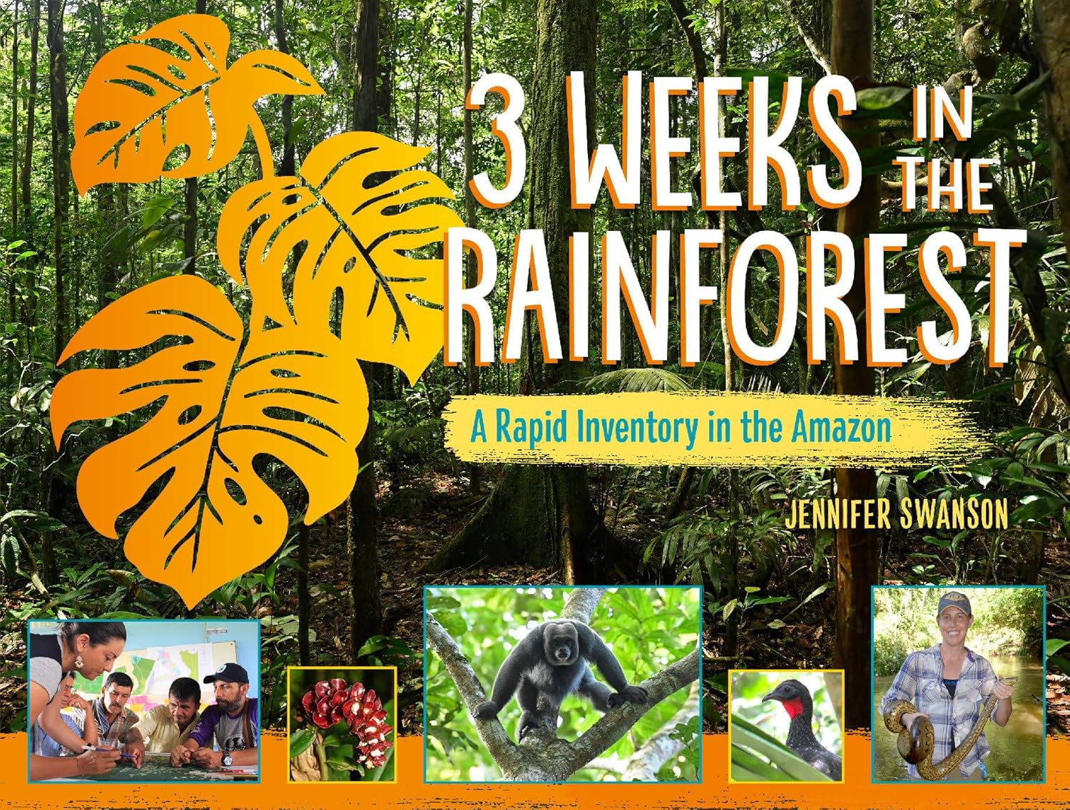 3 Weeks in the Rainforest: A Rapid Inventory in the Amazon: Swanson ...