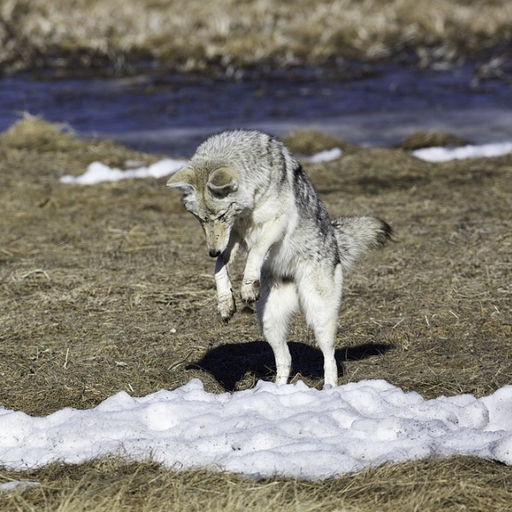 Undage - App on Amazon Appstore