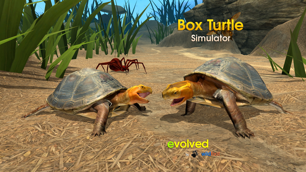 Box Turtle Simulator - App on the Amazon Appstore