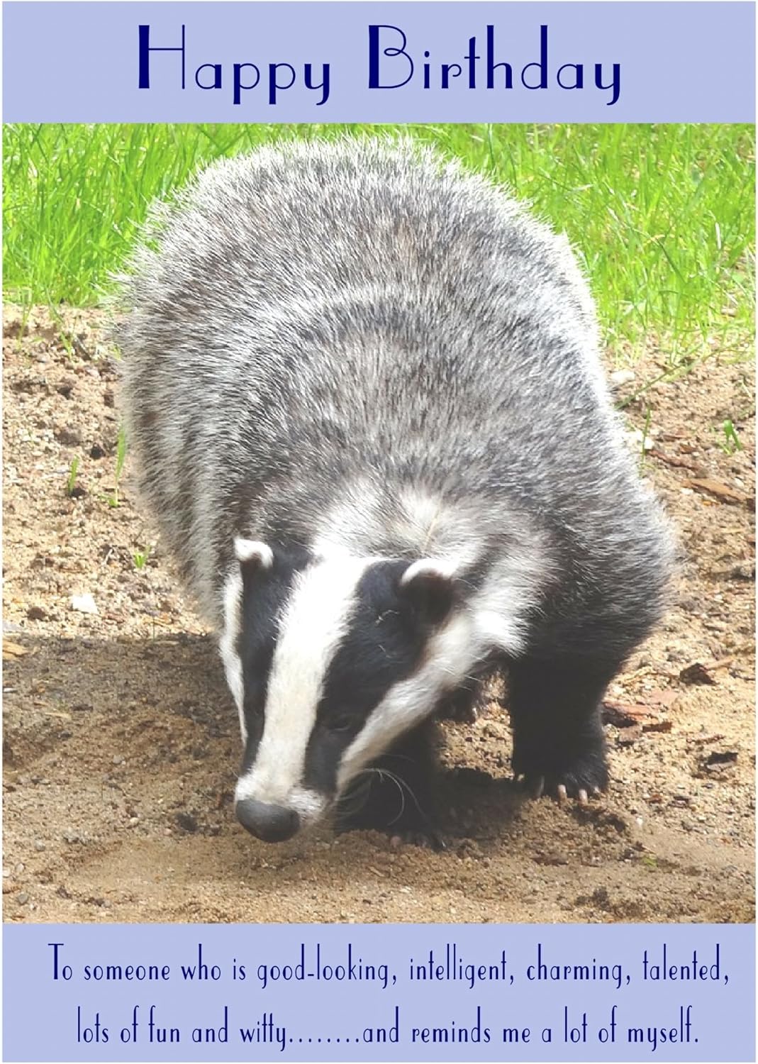 Badger Birthday Card : Amazon.co.uk: Stationery & Office Supplies