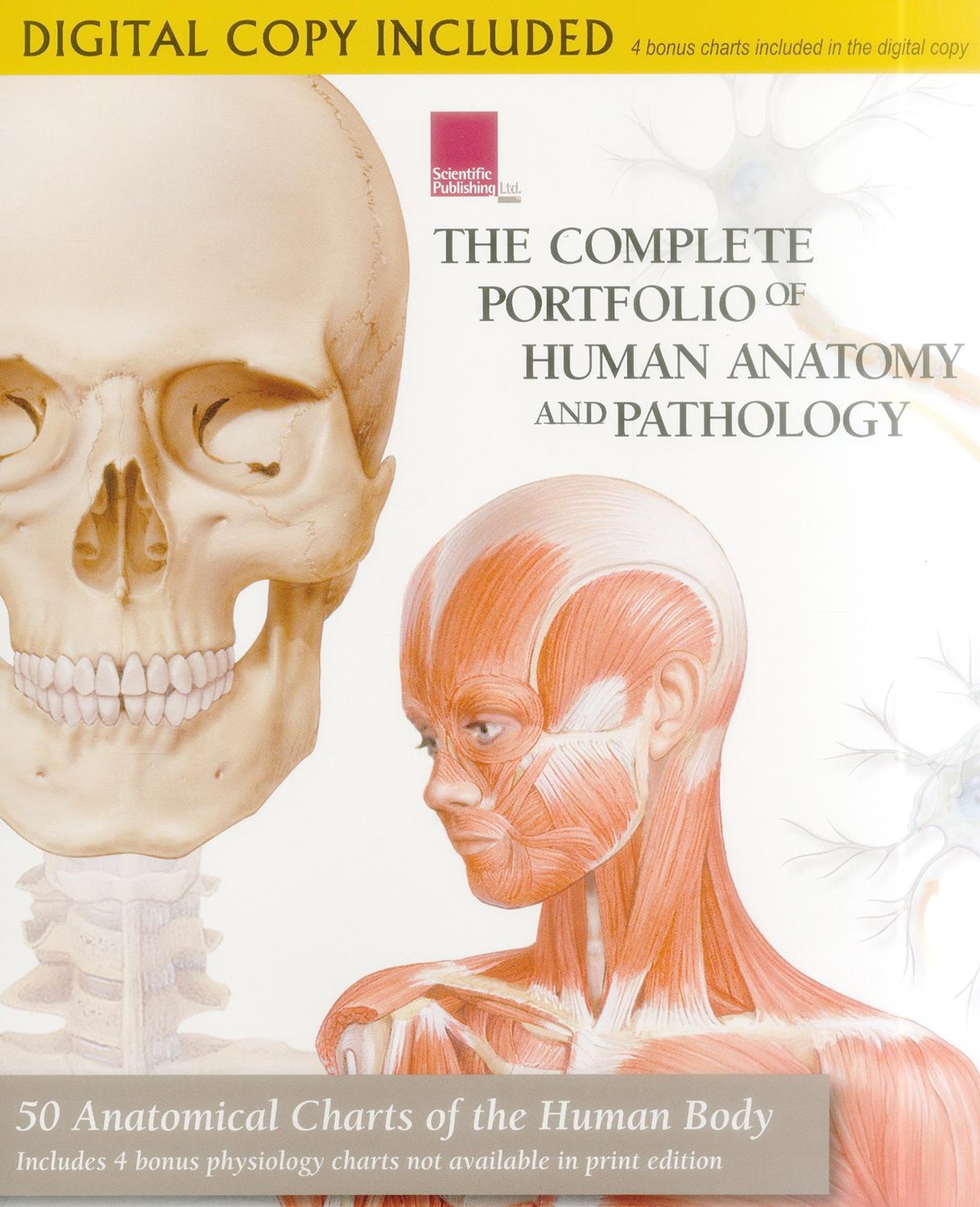 Complete Portfolio Of Human Anatomy And Pathology | Desertcart INDIA