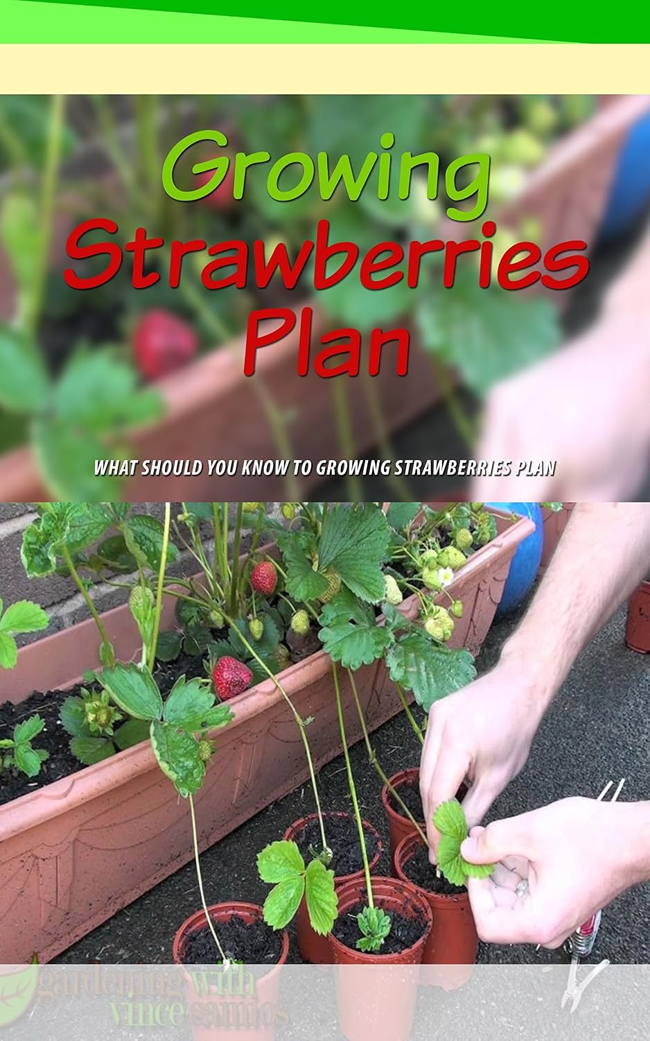 Amazon.com: Growing Strawberries Plan: What Should You Know to Growing ...