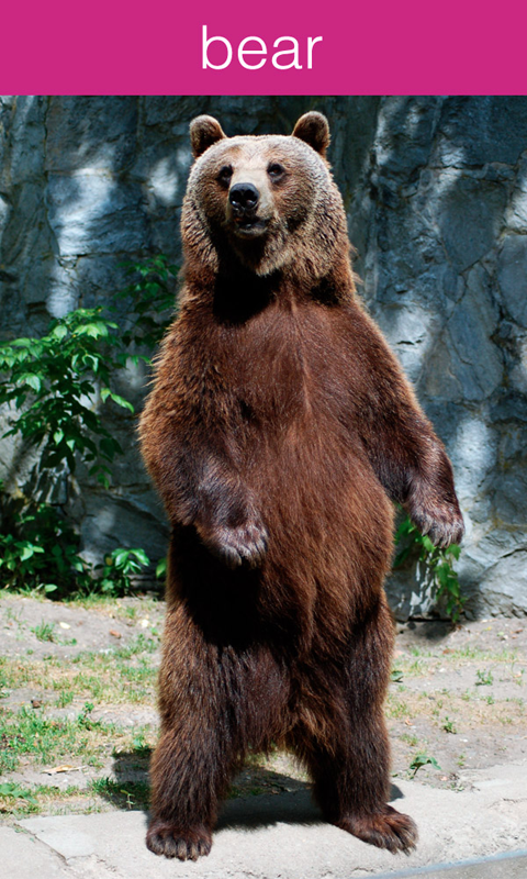 My First Zoo HD : Sights & Sounds (Tablet ready) - App on Amazon Appstore