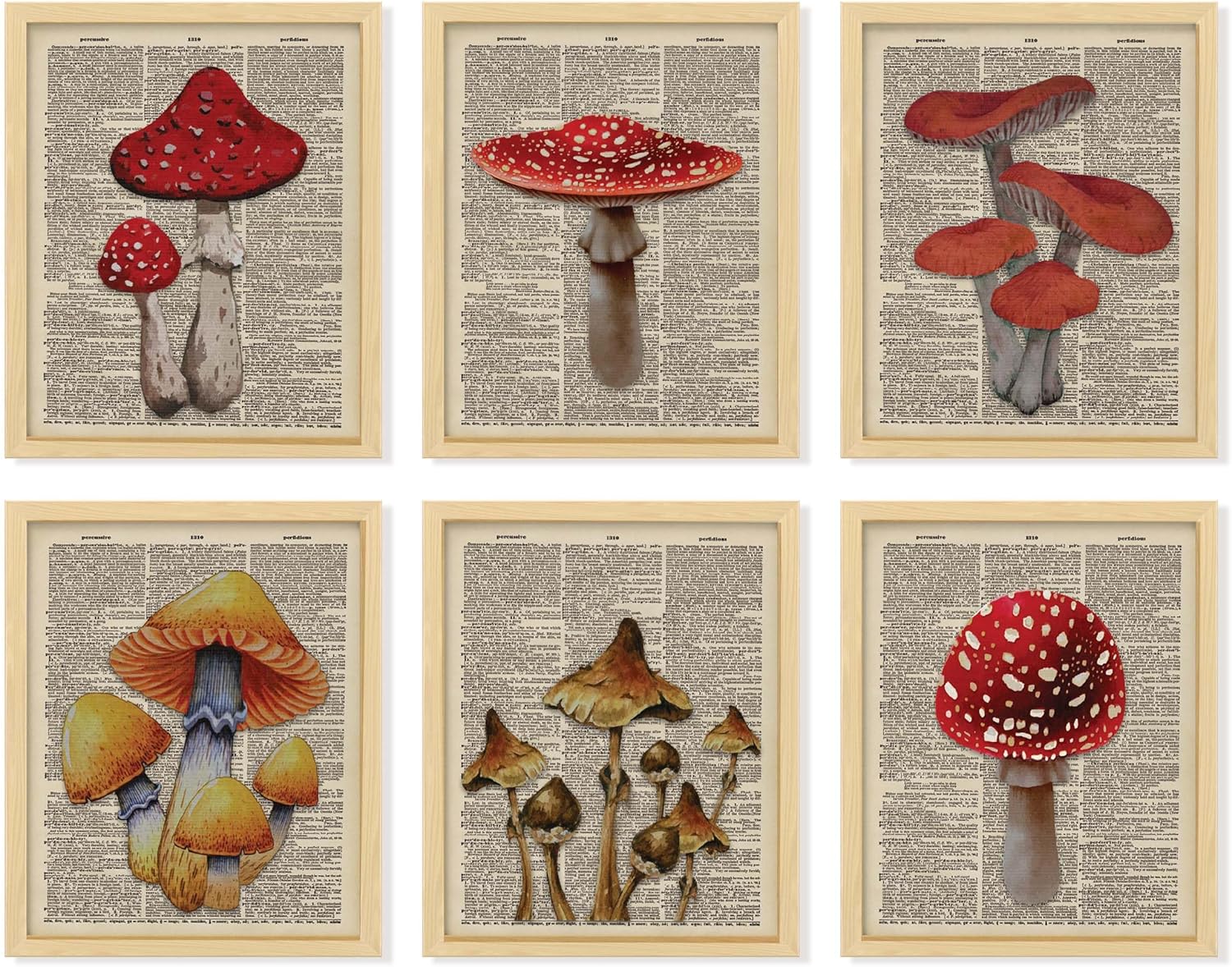 Amazon.com: 97 Decor Vintage Mushroom Poster - Mushroom Wall Decor ...