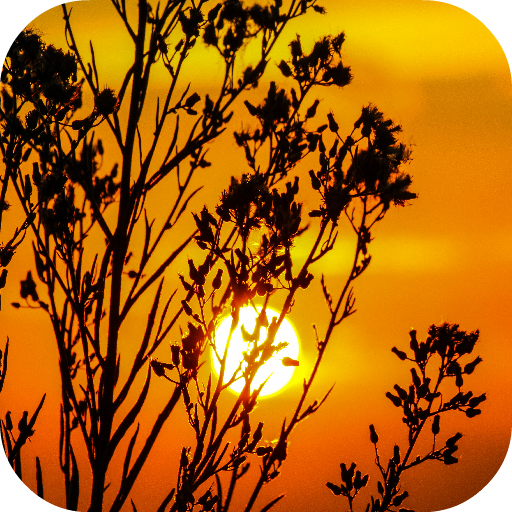 Sunset Wallpapers - App on Amazon Appstore