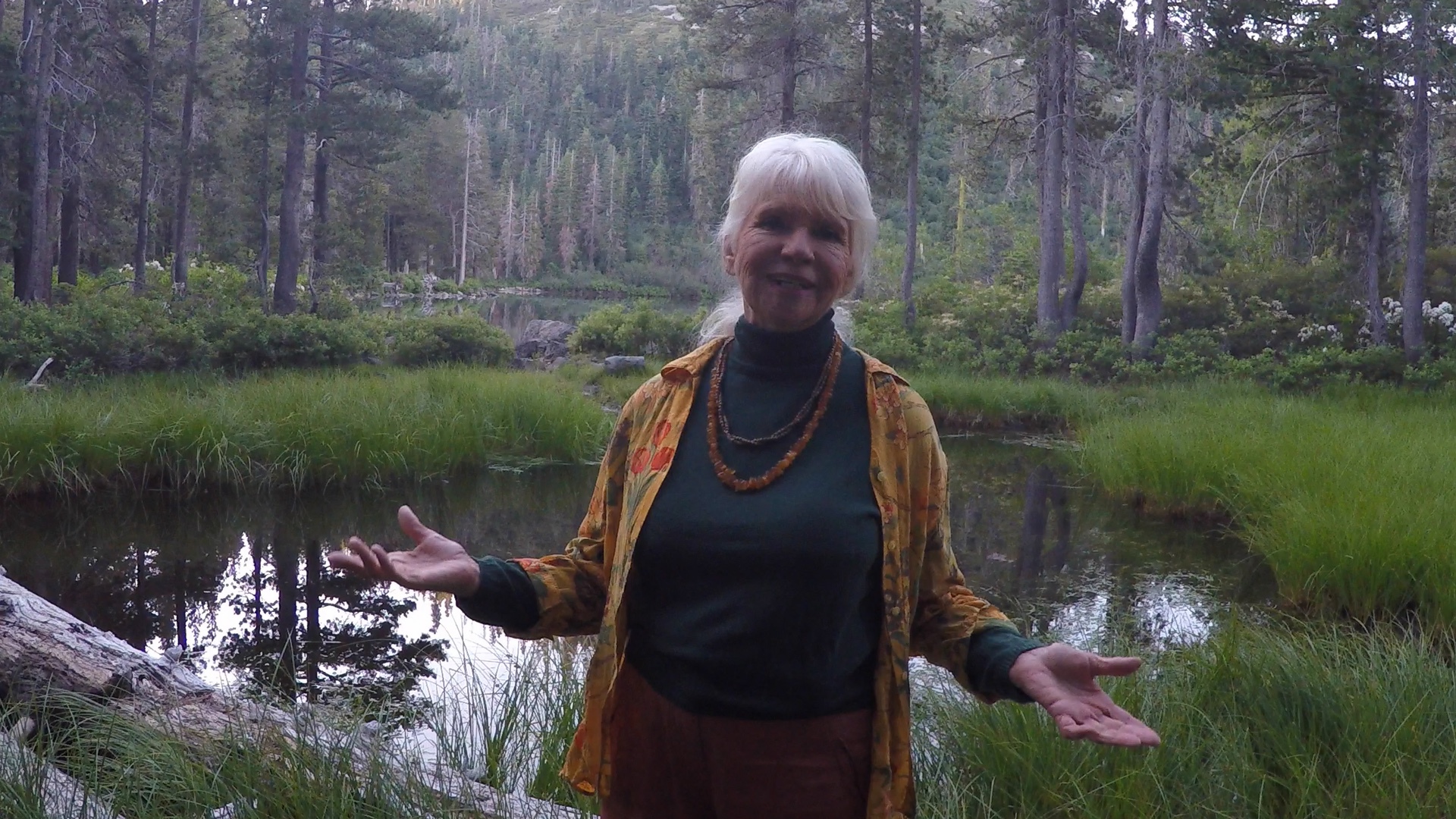 Amazon.co.uk: Terry Cole-Whittaker: books, biography, latest update