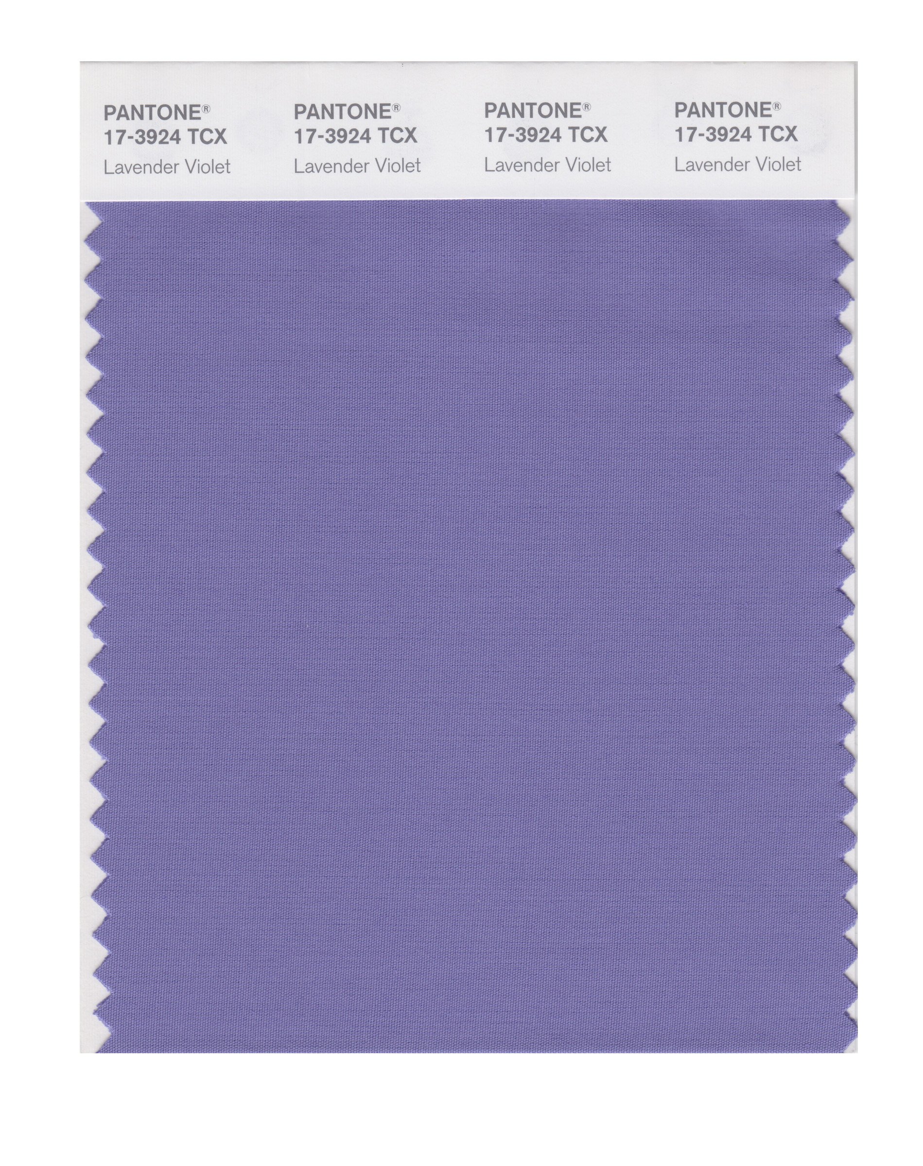 Lavender Color Swatch Pastel Purple Color Palette