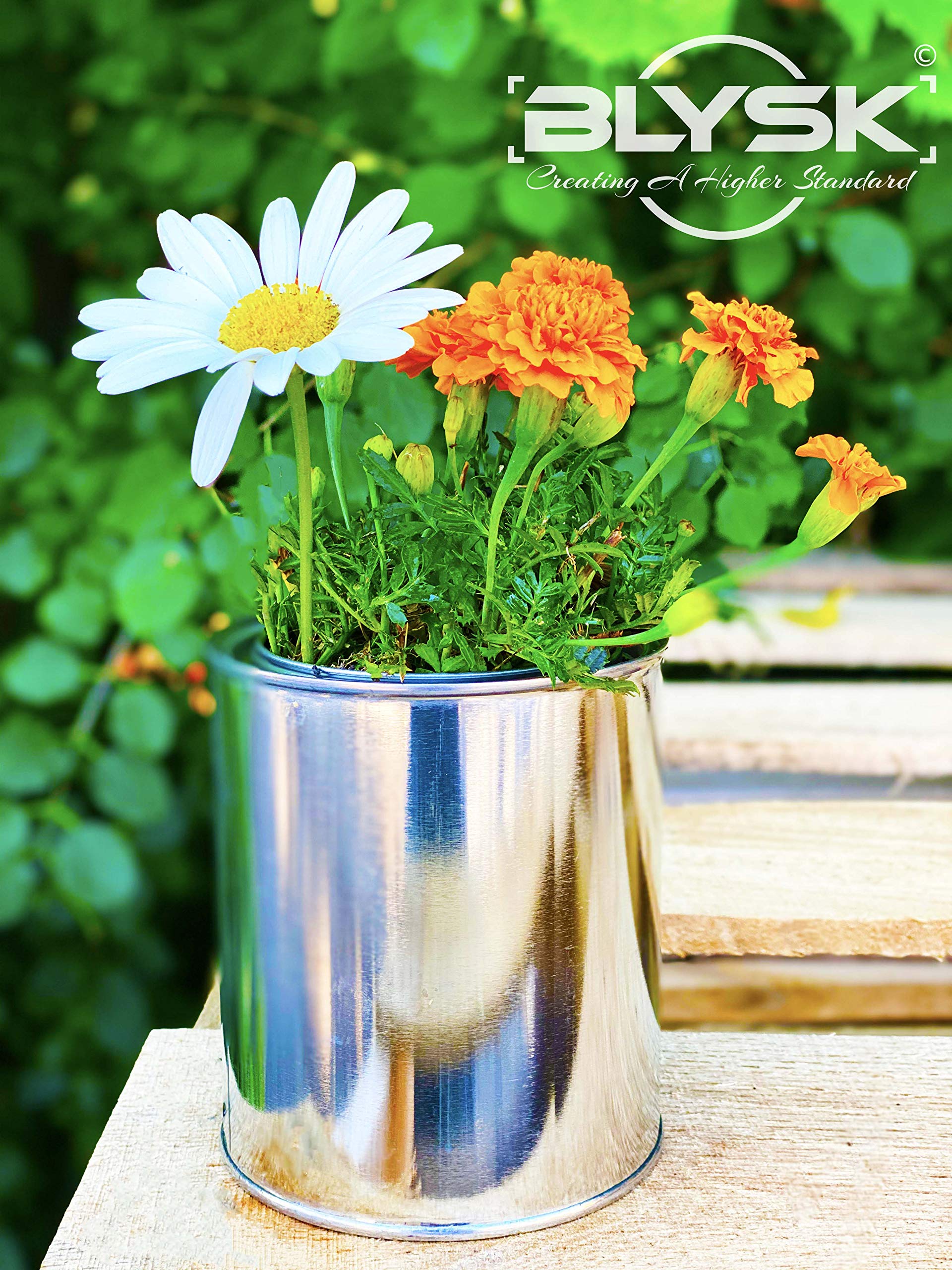 Blysk Empty Metal Quart Cans (6)