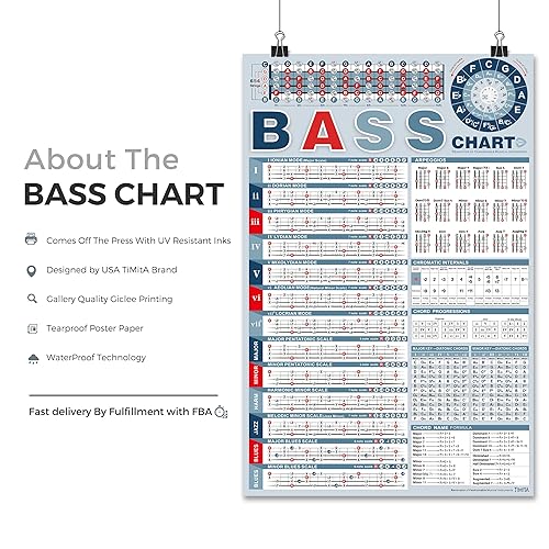 Snapklik.com : Bass Scales Poster - Learn Basses Scales, Modes, Chords ...