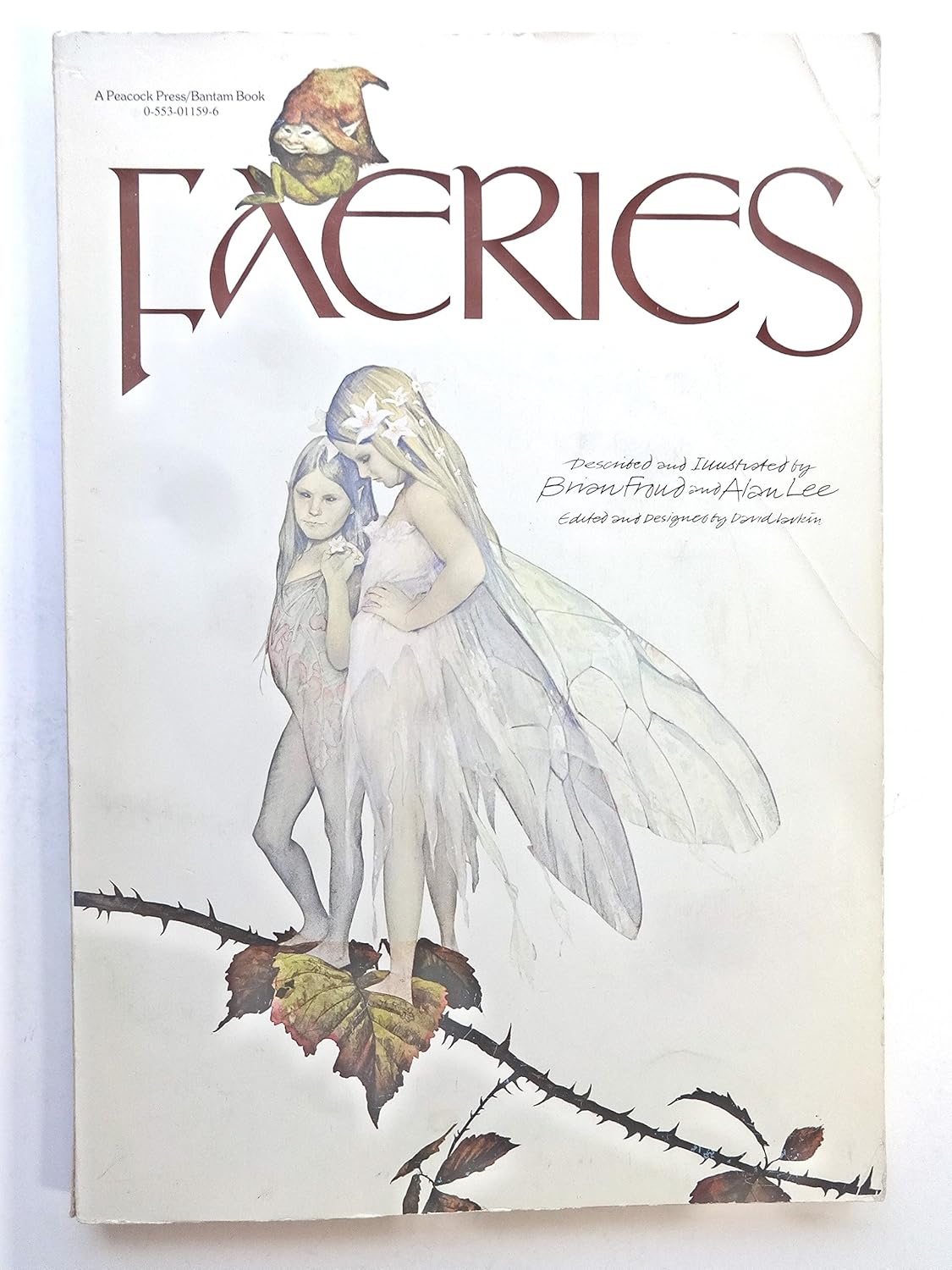 Faeries: Larkin, David: 9780553011593: Amazon.com: Books