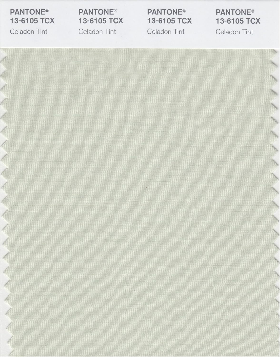 PANTONE Smart 13-6105X Color Swatch Card, Celadon Tint - House Paint - Amazon.com