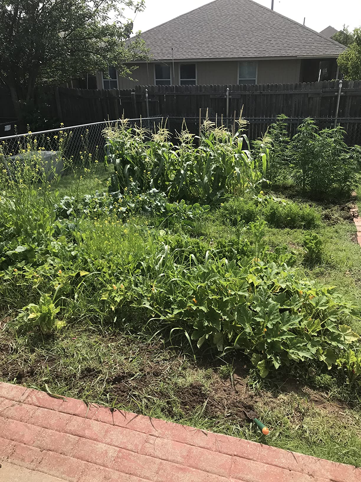 $9/mo - Finance Roots Organics Terp Tea Grow, Micronized Organic ...