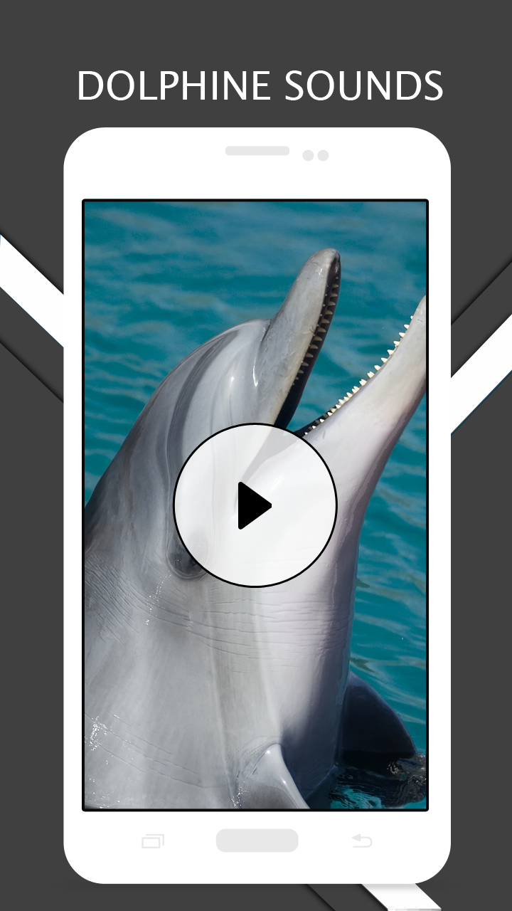 Dolphin Sounds And Ringtones - App on the Amazon Appstore