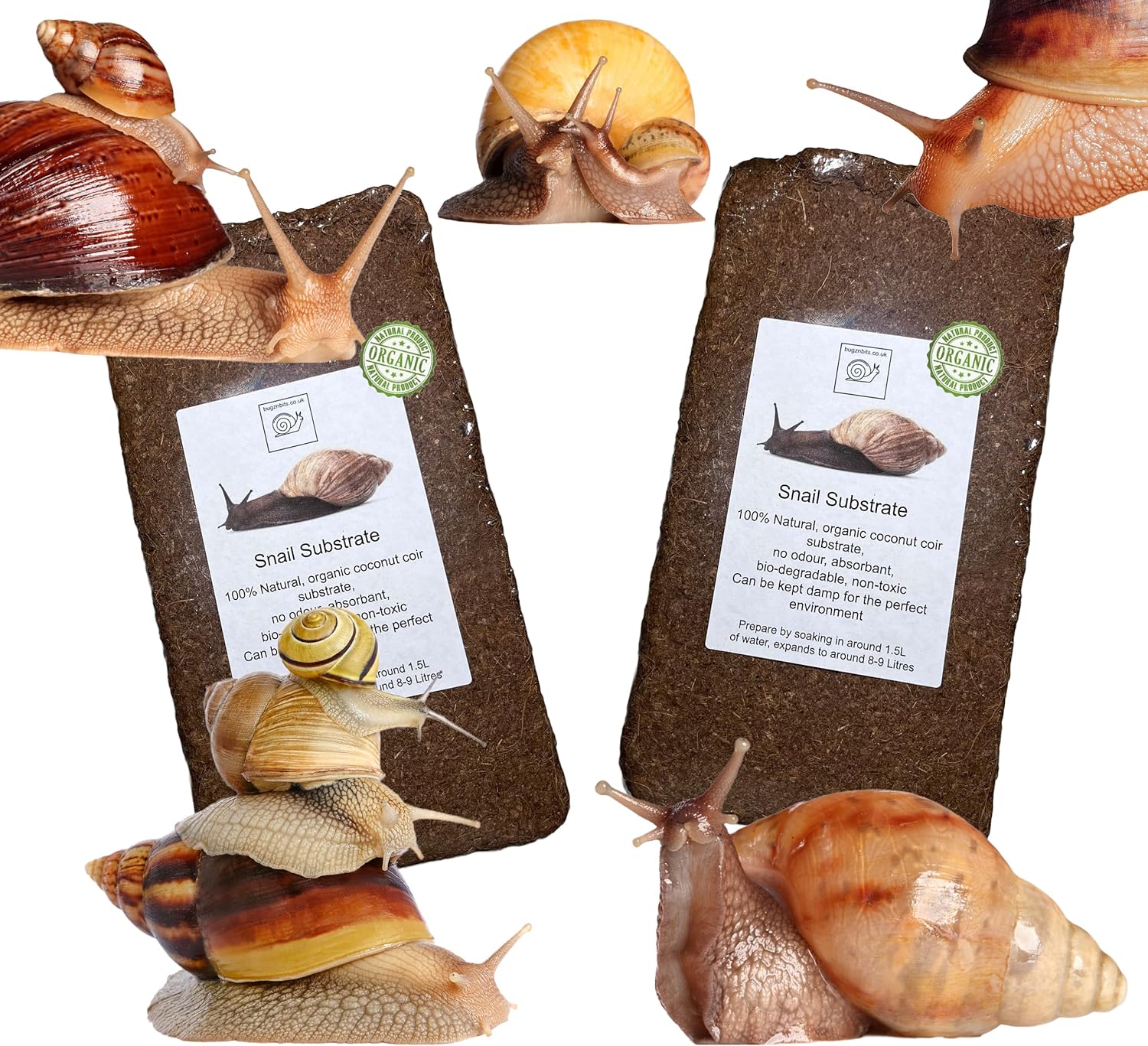 bugznbits Coco Substrate, Coco fiber Substrate, coir block (2 x 8-9L ...