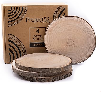 Amazon.com: Wood Slices 4 Pcs 10-12 Inch Large Wood Slices for ...