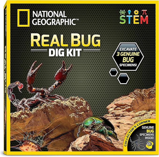 Amazon.com: NATIONAL GEOGRAPHIC Real Bug Dig Kit - Dig up 3 Real ...