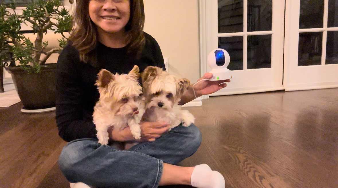 Watch Watch pet camera video! Armorcope Pet video camera on Amazon Live