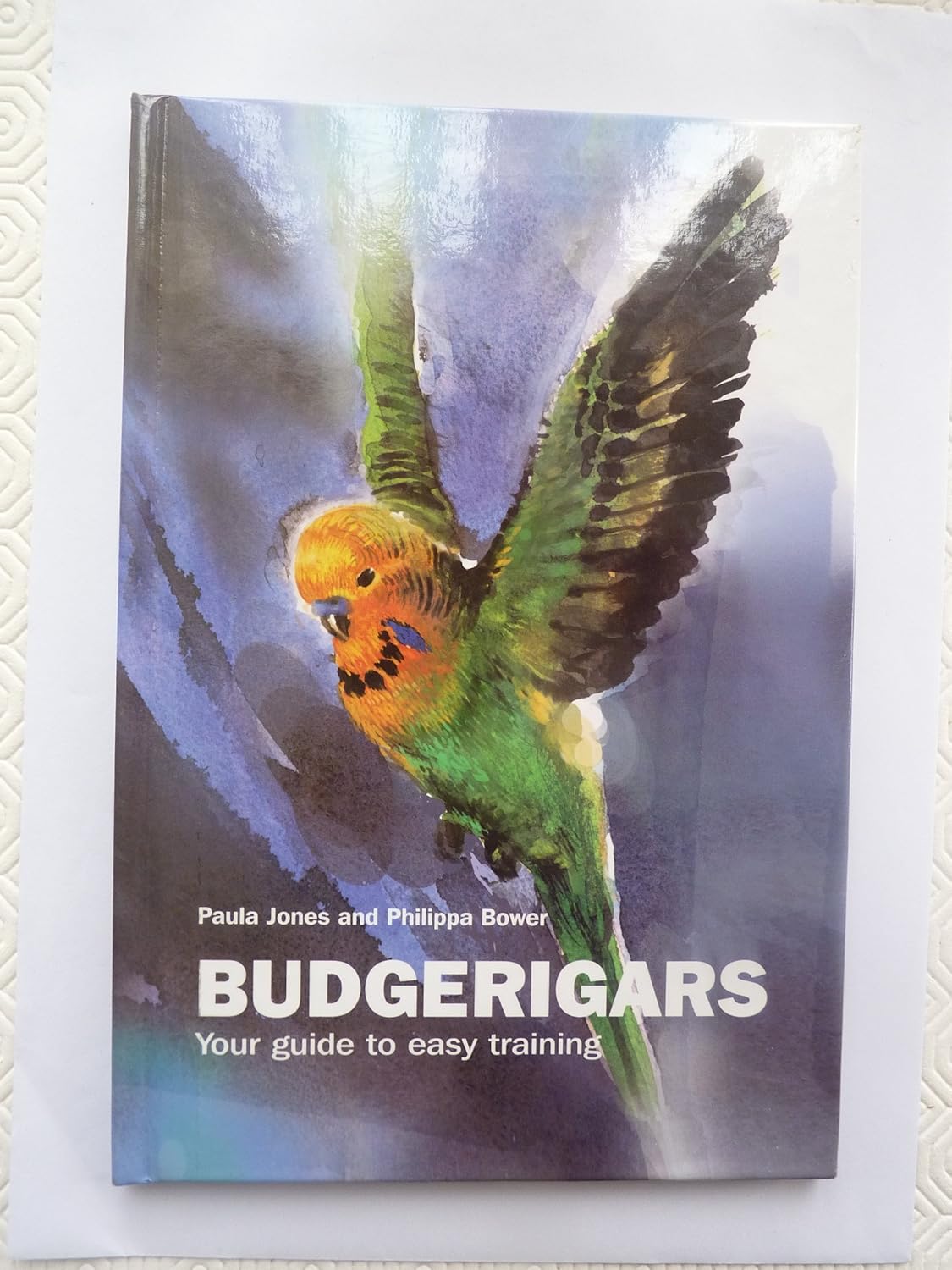 Budgerigars: Your Guide to Easy Training: Jones, Paula, Bower, Philippa ...