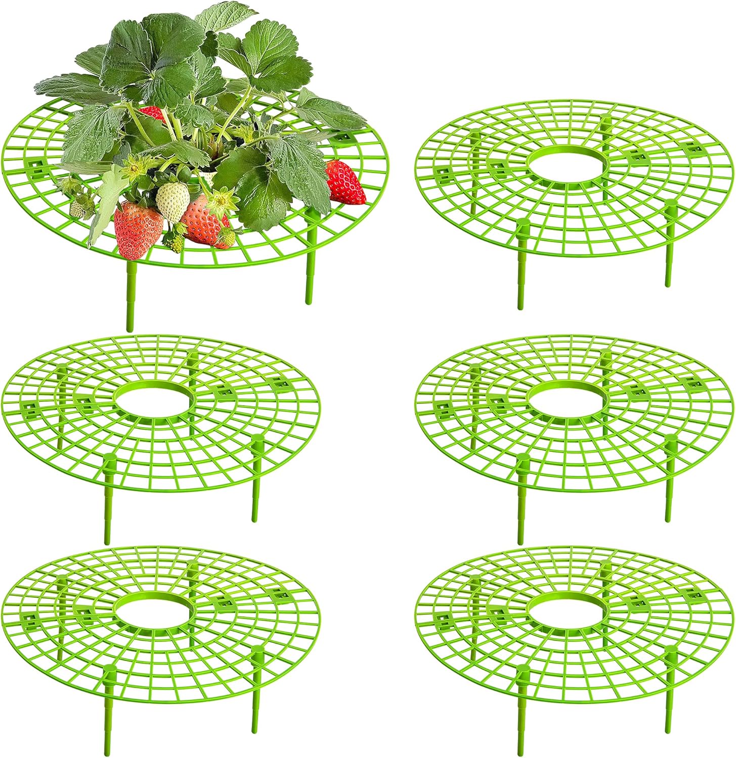 Amazon.com: Iceyyyy 6 Pack Strawberry Plant Supports-Strawberry Growing ...