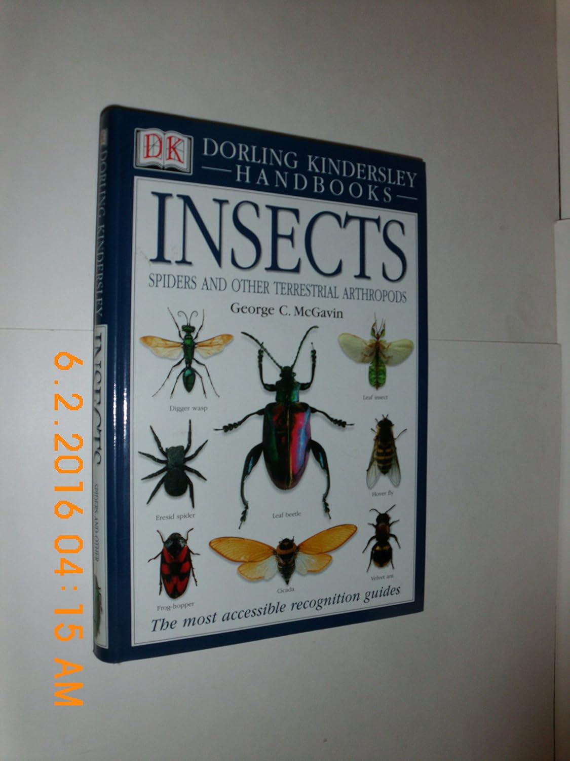 DK Handbooks: Insects: McGavin, George C.: 9780789453372: Amazon.com: Books