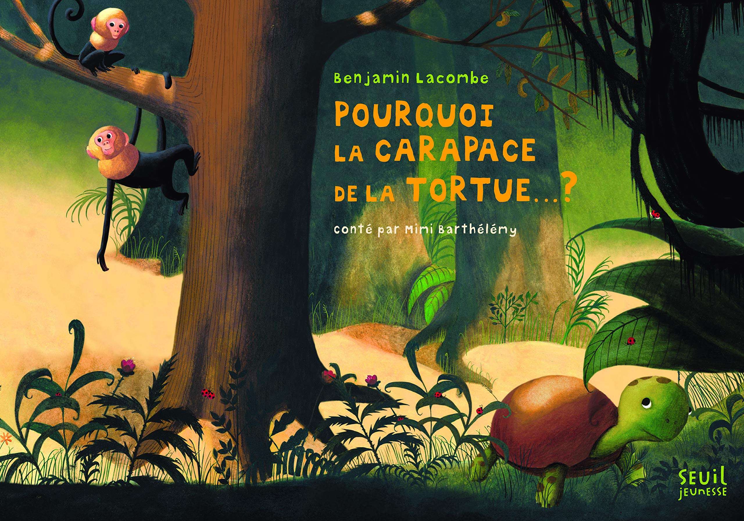 Amazon.fr - Pourquoi la carapace de la tortue... ? - Barthélémy, Mimi ...