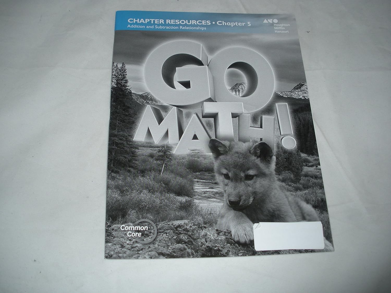 GO MATH ! Chapter Resources - Chapter 5 Addition and Subtraction ...