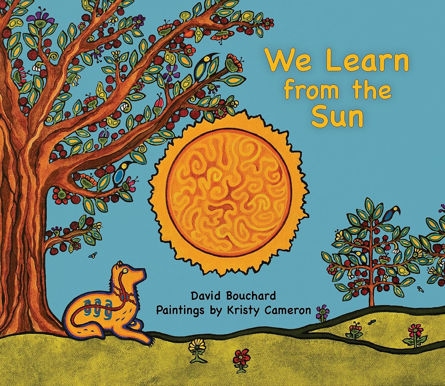 We Learn from the Sun: Bouchard, David, Cameron, Kristy: 9781989122396 ...