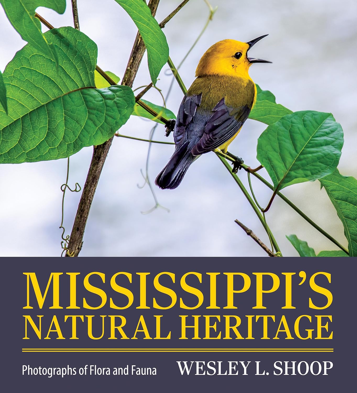 Amazon.com: Mississippi's Natural Heritage: Photographs of Flora and ...