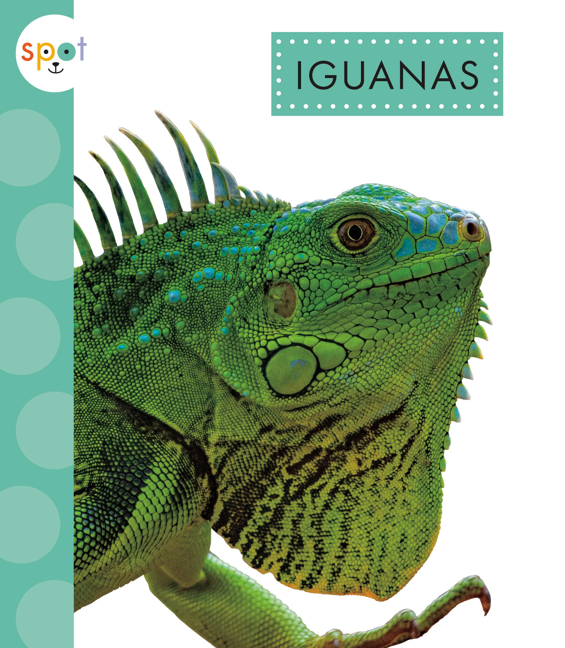 Iguanas (Spot Rainforest Animals): Thielges, Alissa: 9781645492603 ...